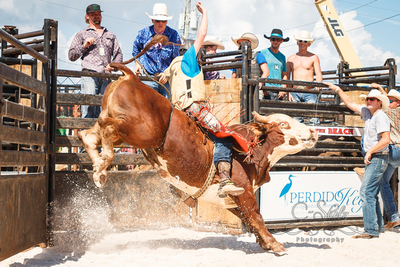 Bulls on The Beach | Flora-Bama